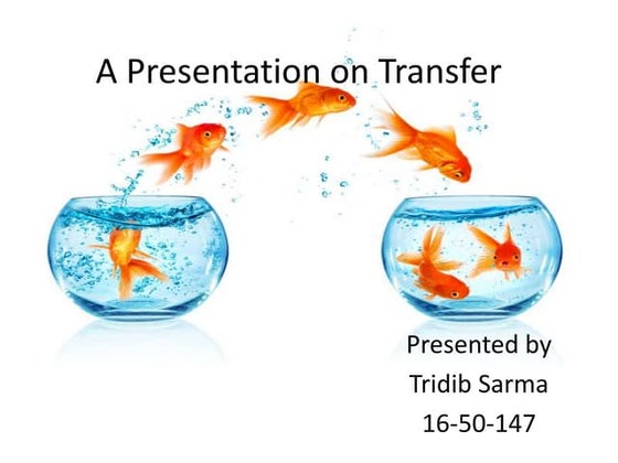 "TRANSFER PRESENTATION" | PPTX