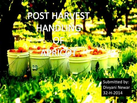 Postharvest changes in fruits and vegetables | PPT