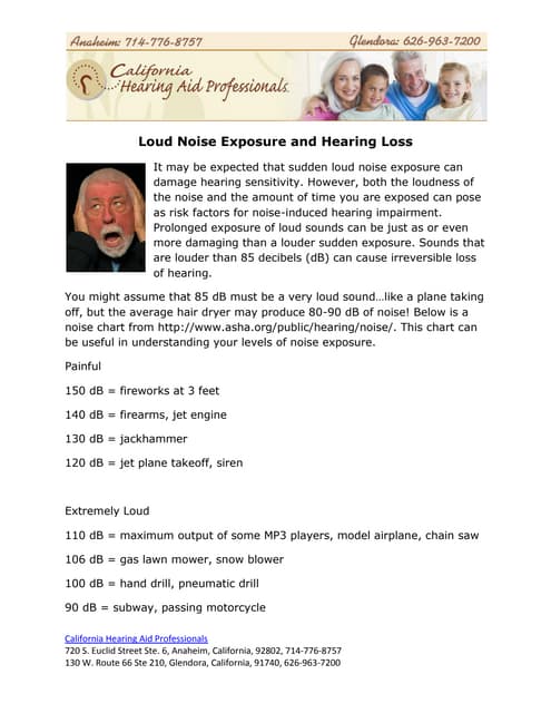 INTERNATIONAL NOISE AWARENESS | PDF