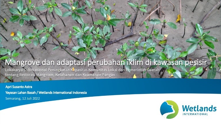 Mangrove dan Adaptasi Perubahan Iklim di Kawasan Pesisir (Mangroves and Climate Change ...