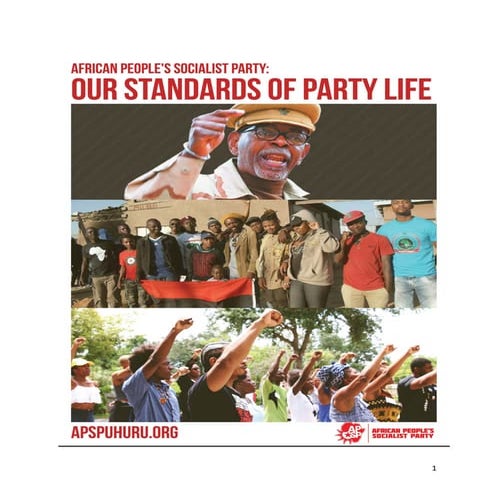 APSP_Our Standards of Party Life | PDF