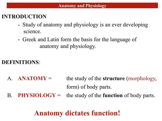 B pharmacy HAP 1 UNIT 1 SEM 1 hap unit 1 a.pptx | Endocrine and ...
