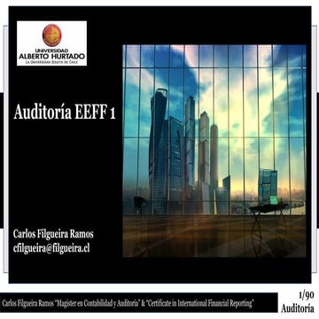 Apunte Normas NIIF Auditoría EEFF 1-1.pdf