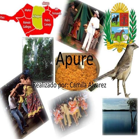 Apure | PPSX