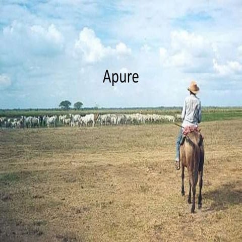 Estado apure | PPTX