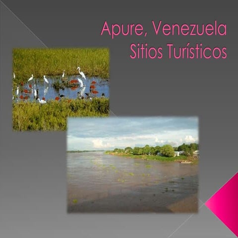 Apure | PPTX