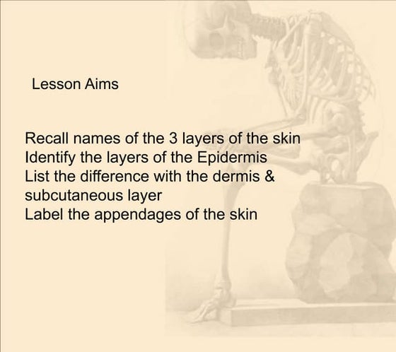 Itslearning training 30.06