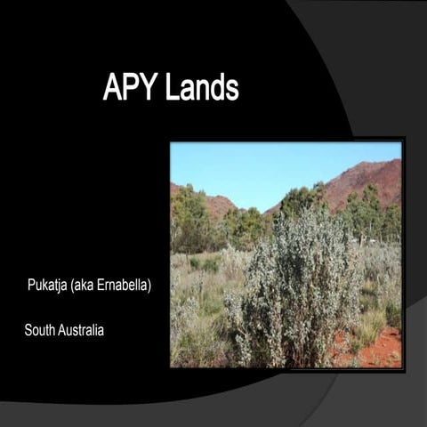 APY Lands, Australia | PPT