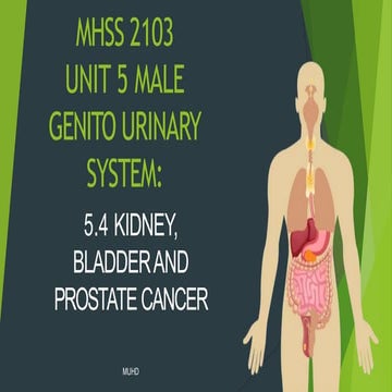 KIDNEY, BLADDER AND PROSTATE CANCER | PPTX