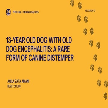 Aqila Zata Amani_B0901241008_Rhinitis pada anjing.pdf