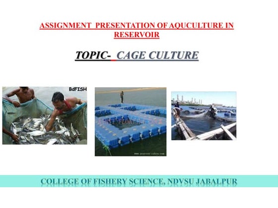 culture system - semi intensive, intensive, super intensice and cage.pptx