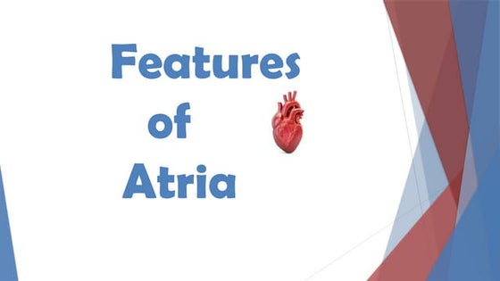 Right atrium of heart | PPTX