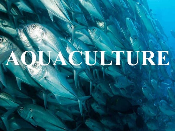 Aquaculture and Fisheries • brief background of aquaculture • types of ...