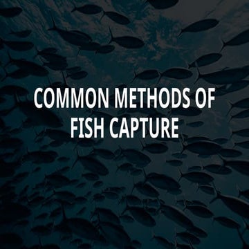 Lesson in Aquaculture. Slide Show on agri-fishery arts | PPTX