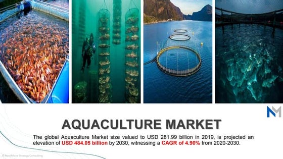 Aquaculture Market PPT: Growth, Outlook, Demand, Keyplayer Analysis and ...