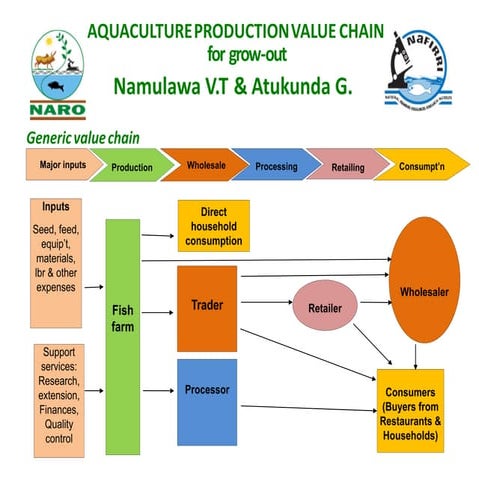 Aquaculture production value chain for grow-out in Uganda | PDF