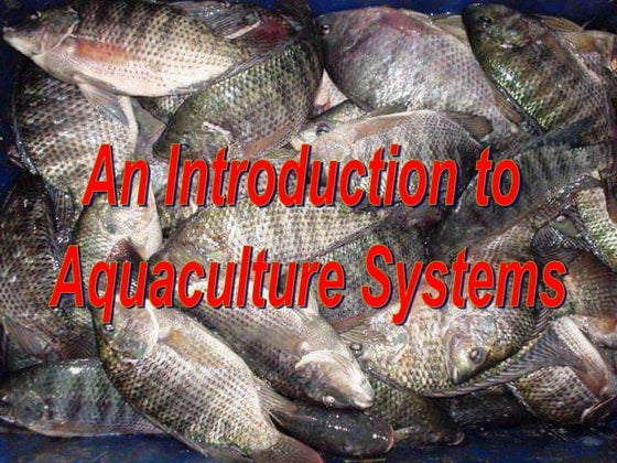 Extensive Aquaculture | PPTX | Zoos & Aquariums | Attractions