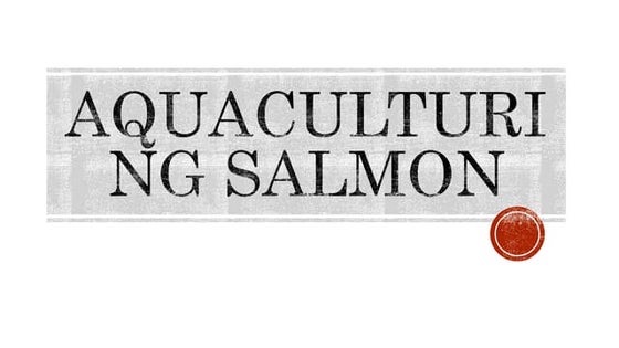 Salmon fishing | PPT