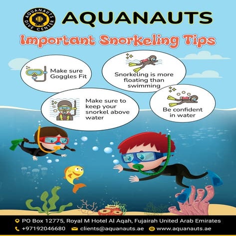 Snorkeling Tips Tour UAE | Aquanauts UAE | PDF