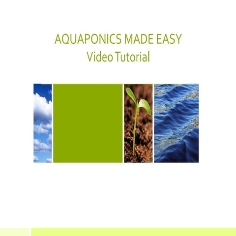 How to build an Aquaponics the easy way | PPTX