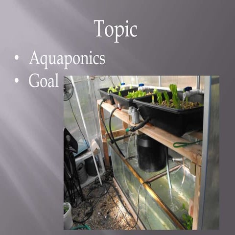 Aquaponics presentation | PPTX