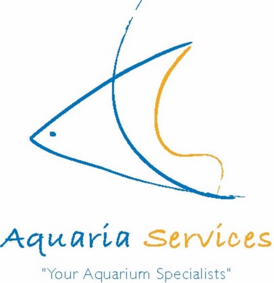 SLS Makeup Menu | PPT