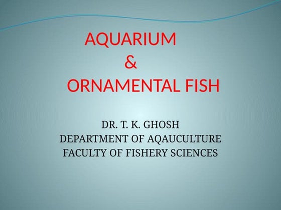 Ornamental fish culture | PPT