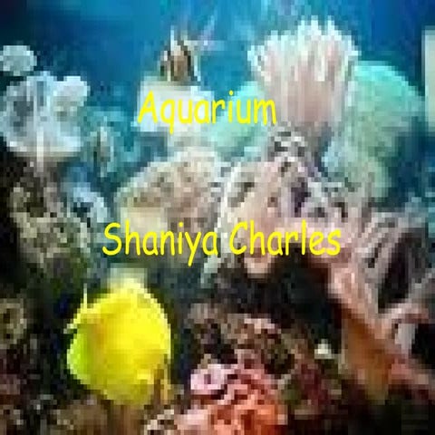 Aquarium2 | PPT | Zoos & Aquariums | Attractions