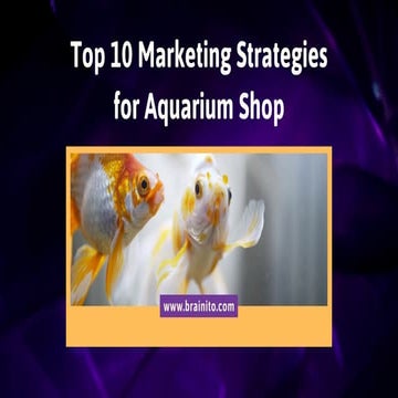 Marketing Strategies For Aquarium Shop | PDF | Marketing and ...