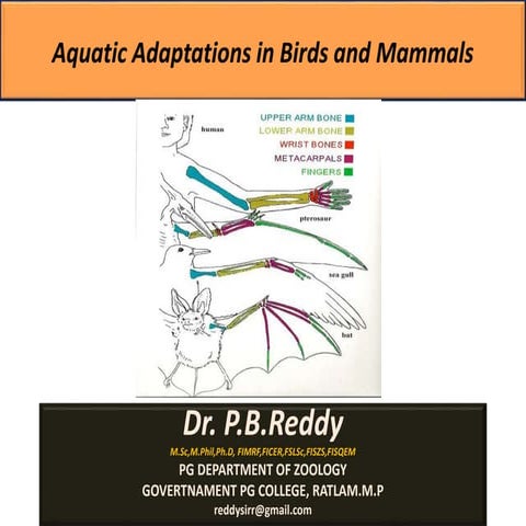 Aquatic adaptations | PPTX