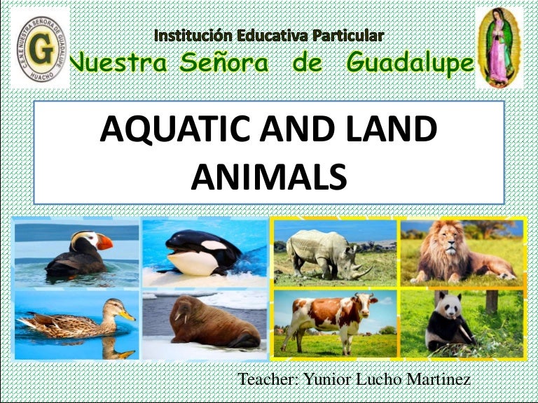 Aquatic and land animals 4to