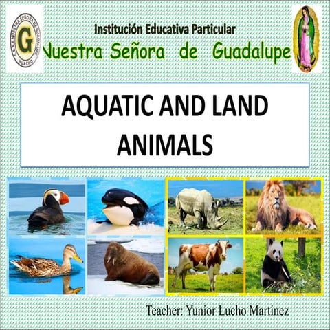 Aquatic and land animals 4to | PPTX