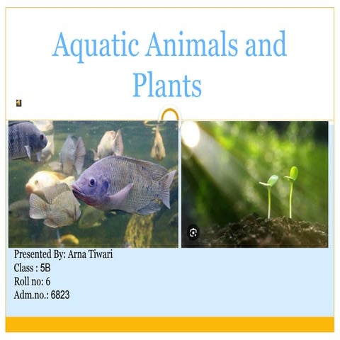 Aquatic animals power point presentation | PPTX