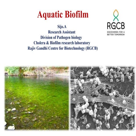 Aquatic Biofilm : Biotechnology | PPT