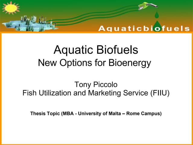 Ib ess exam notes | PDF