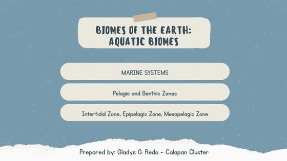 Water zonation | PDF