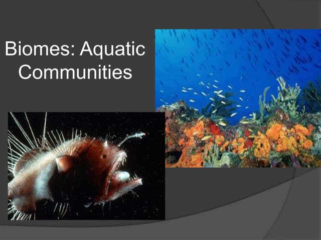 Aquatic biome | PPT
