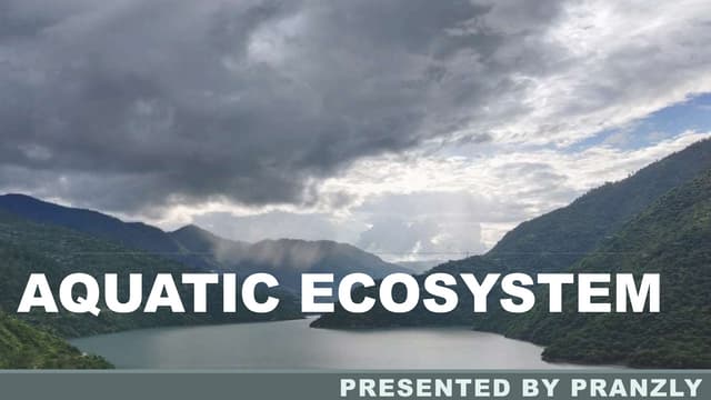 Desert ecosystem | PPTX