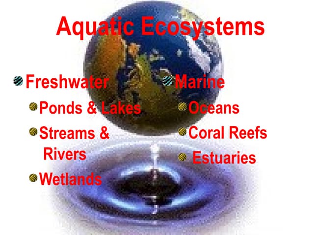 Fresh water and marine ecosystems | PPTX