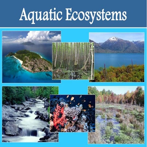 Aquatic ecosystems | PDF