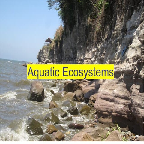 Aquatic Ecosystems | PPT