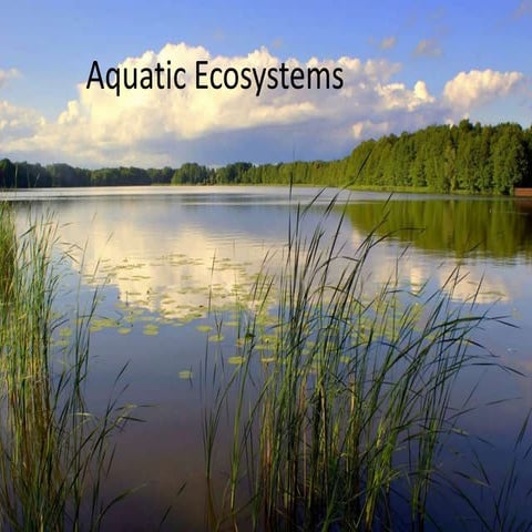 Aquatic ecosystemsppt | PPTX