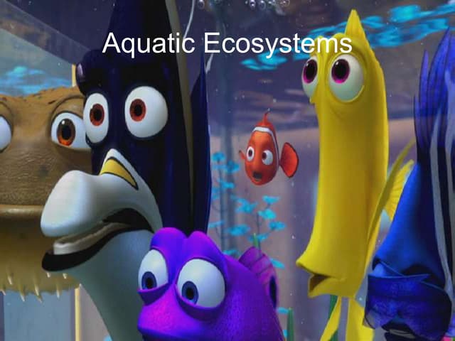 Fresh water and marine ecosystems | PPTX