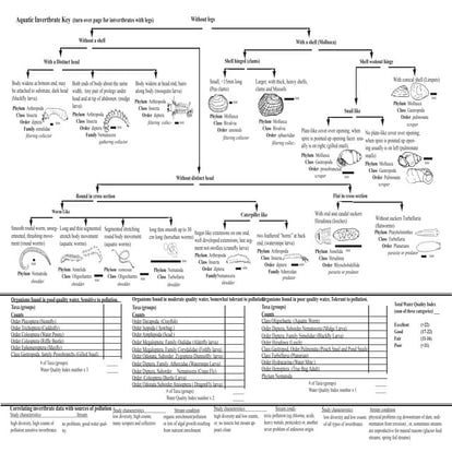 Dichotomous key for aquatic invertebrate dichotomies key | PDF