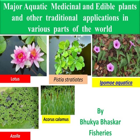 Aquatic medicinal plants B.pptx