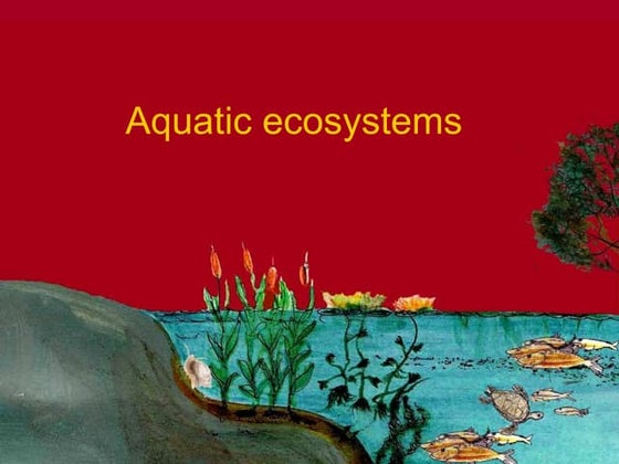 Aquatic ecosystemsppt | PPTX | Chemistry | Science