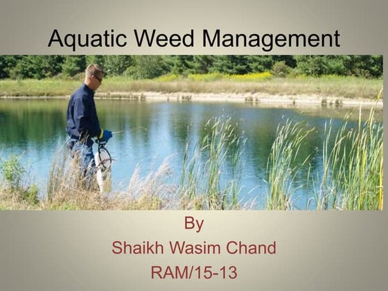 Aquatic weeds. classification, characterspptx.pptx1 | PPTX