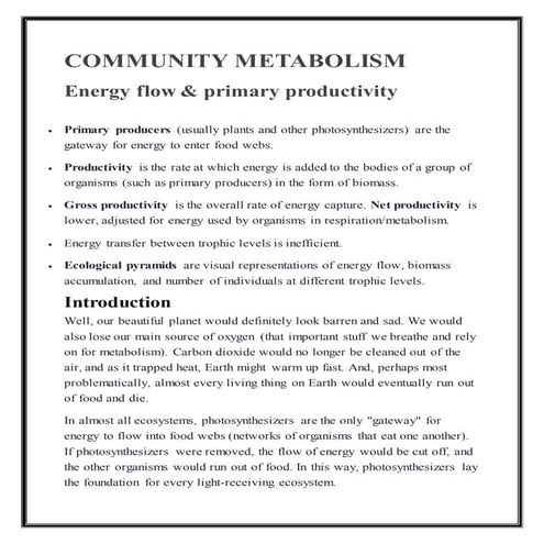 Energy pyramid lesson | PPT