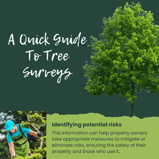 A Quick Guide To Tree Surveys.pdf