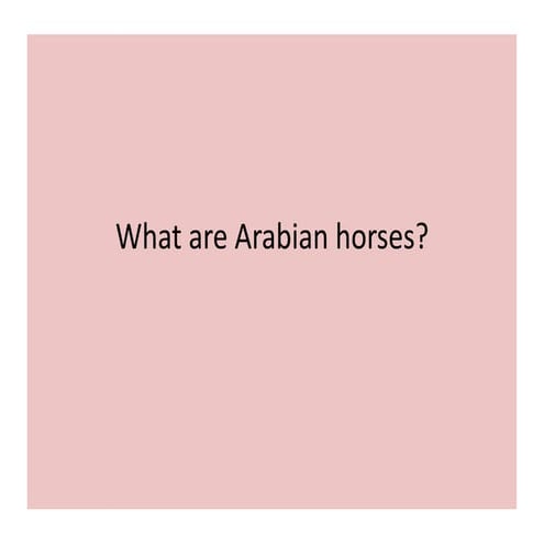 Learn About Arabian Horses | PDF